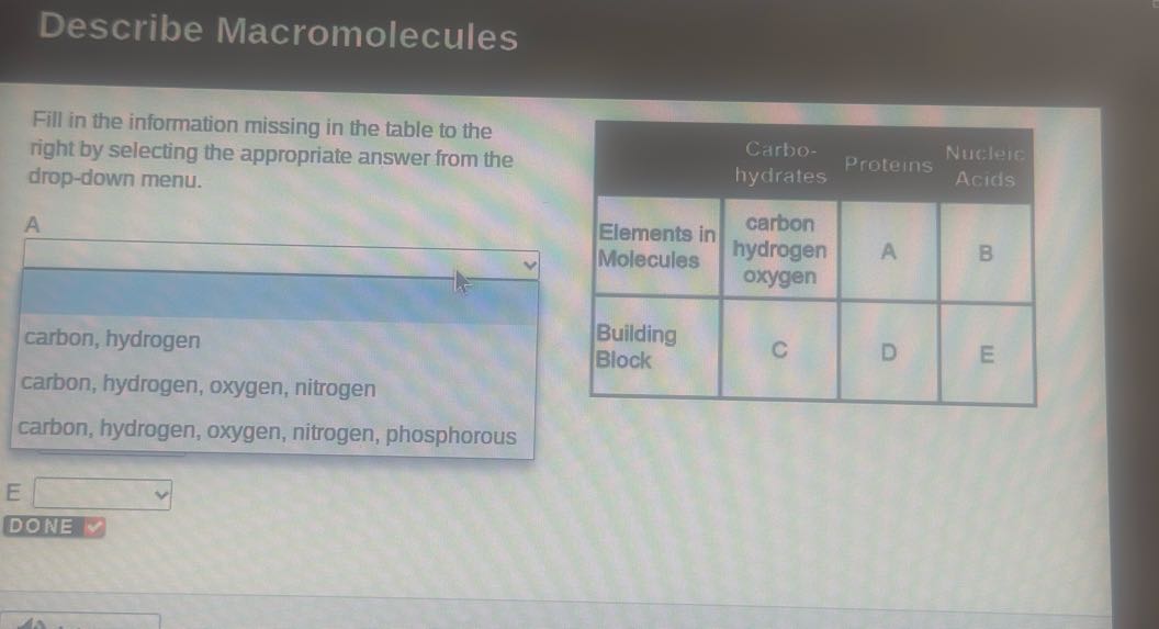 Describe Macromolecules Fill in the information missing in the table to the right by selecting ...