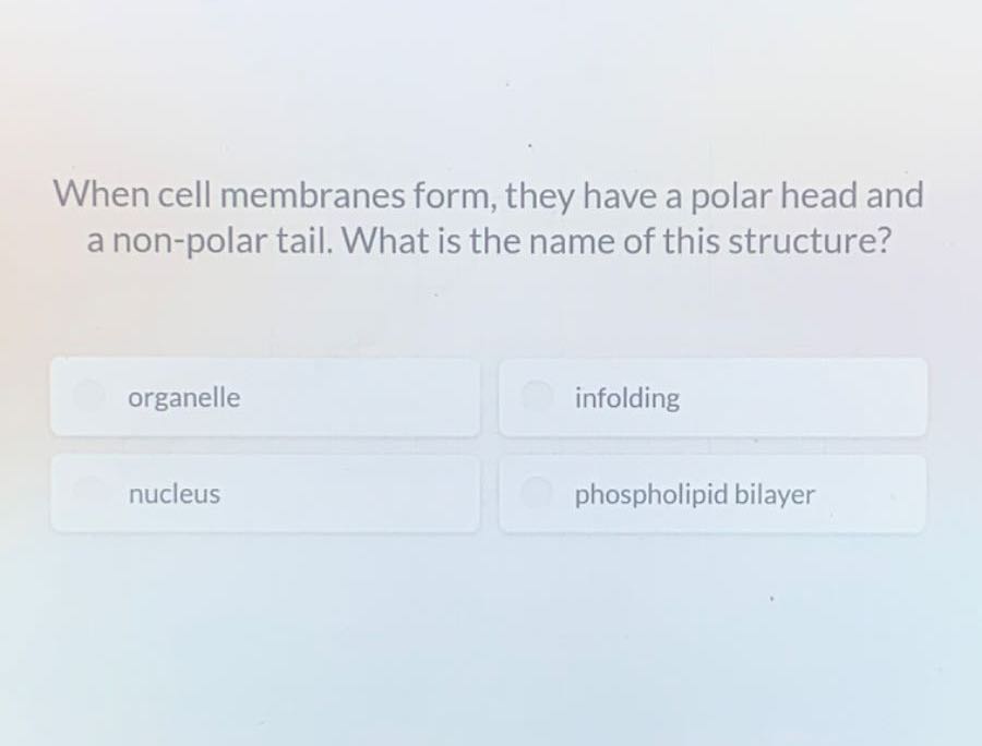 When cell membranes form, they have a polar head and a non-polar tail ...
