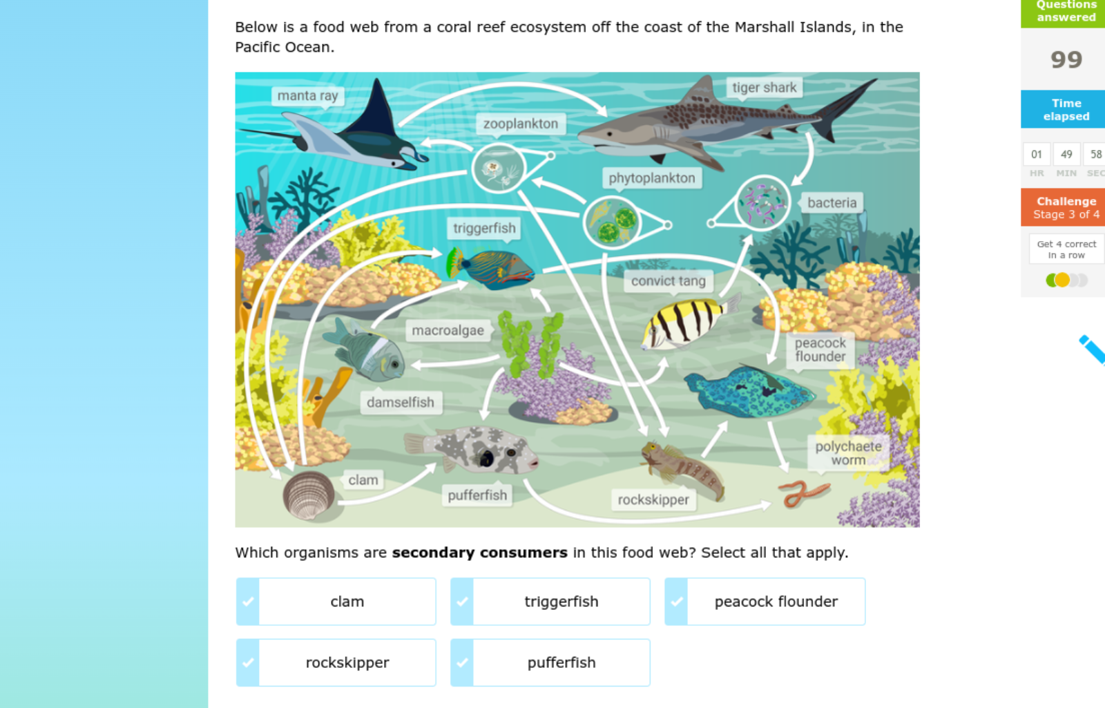 Below is a food web from a coral reef ecosystem off the...