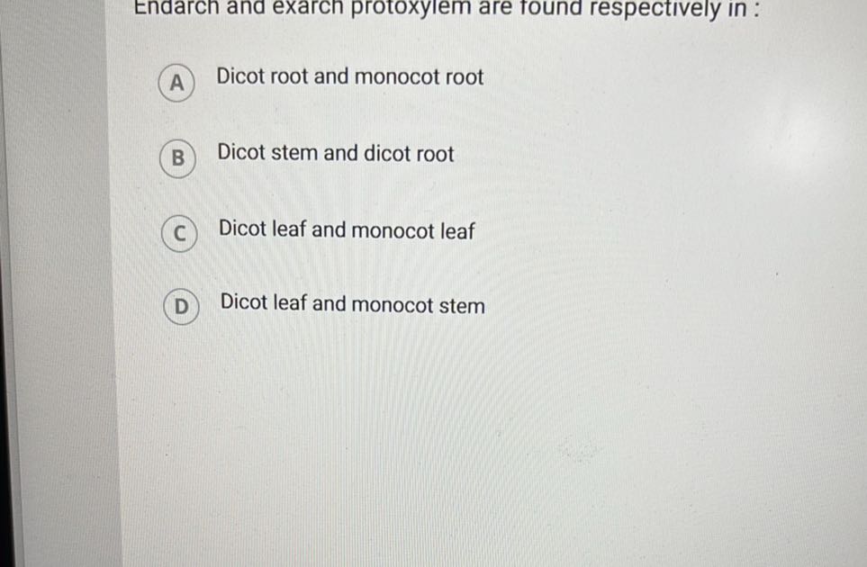 Endarch and exarcn protoxylem are tound respectively in : (A) Dicot ...