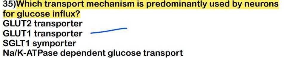 35)Which transport mechanism is predominantly used by neurons for ...