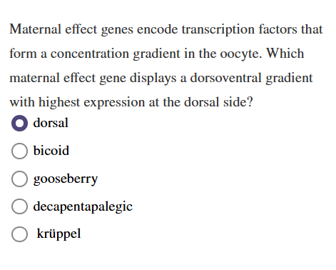 Maternal effect genes encode transcription factors that form a concentration gradient in the ...
