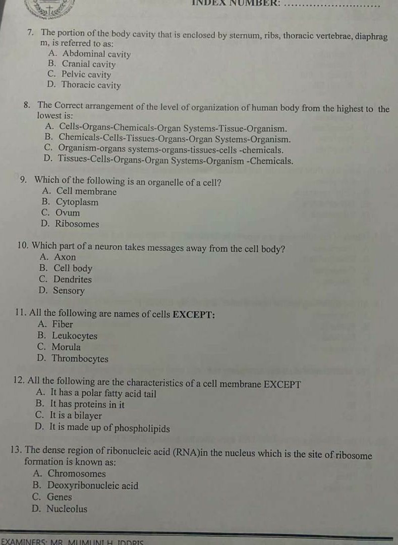 7. The portion of the body cavity that is enclosed by sternum, ribs, thoracic vertebrae ...