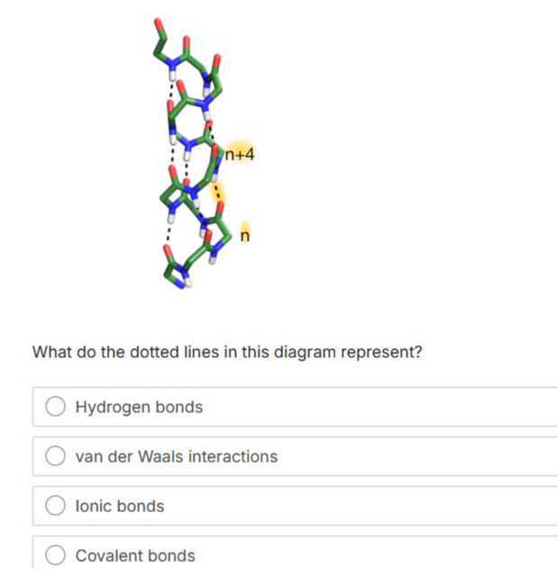 What do the dotted lines in this diagram represent? Hydrogen bonds van ...