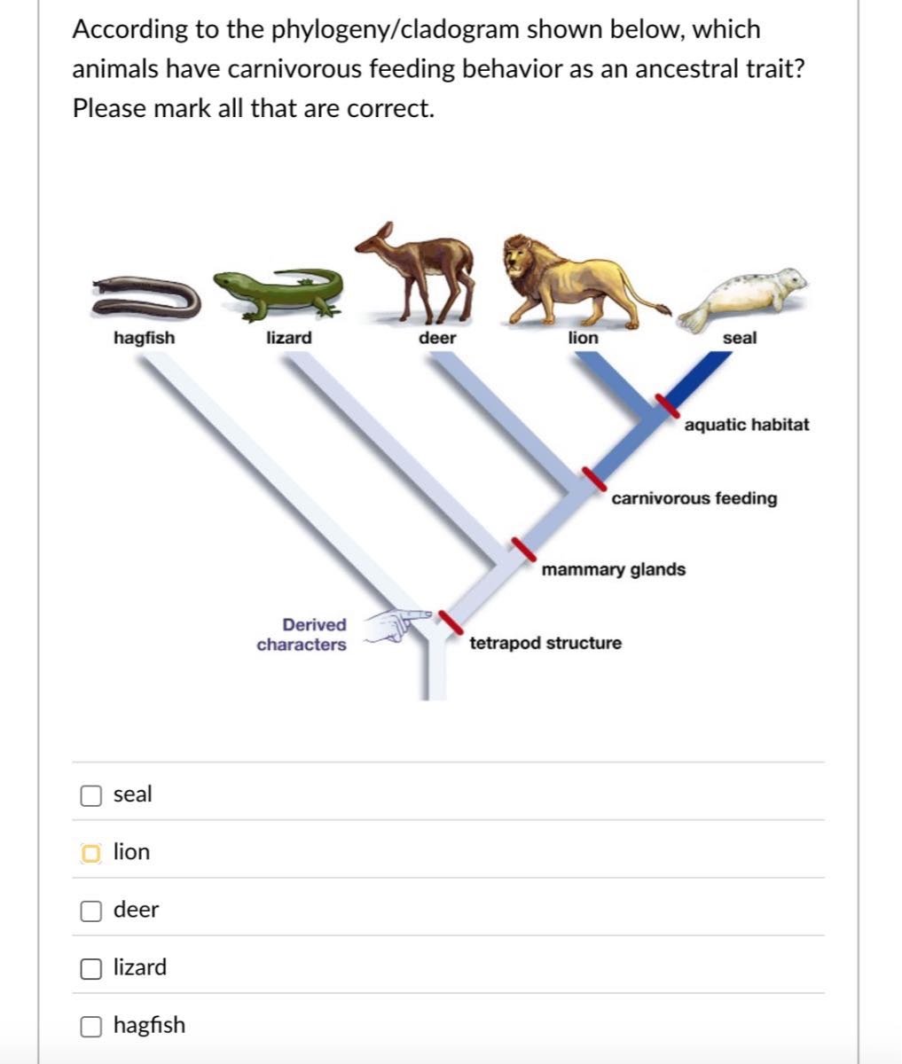 According to the phylogeny/cladogram shown below, which animals have ...