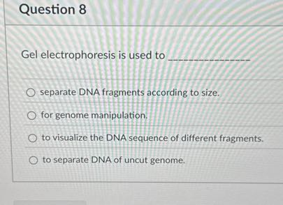 Question 8 Gel electrophoresis is used to separate DNA fragments ...