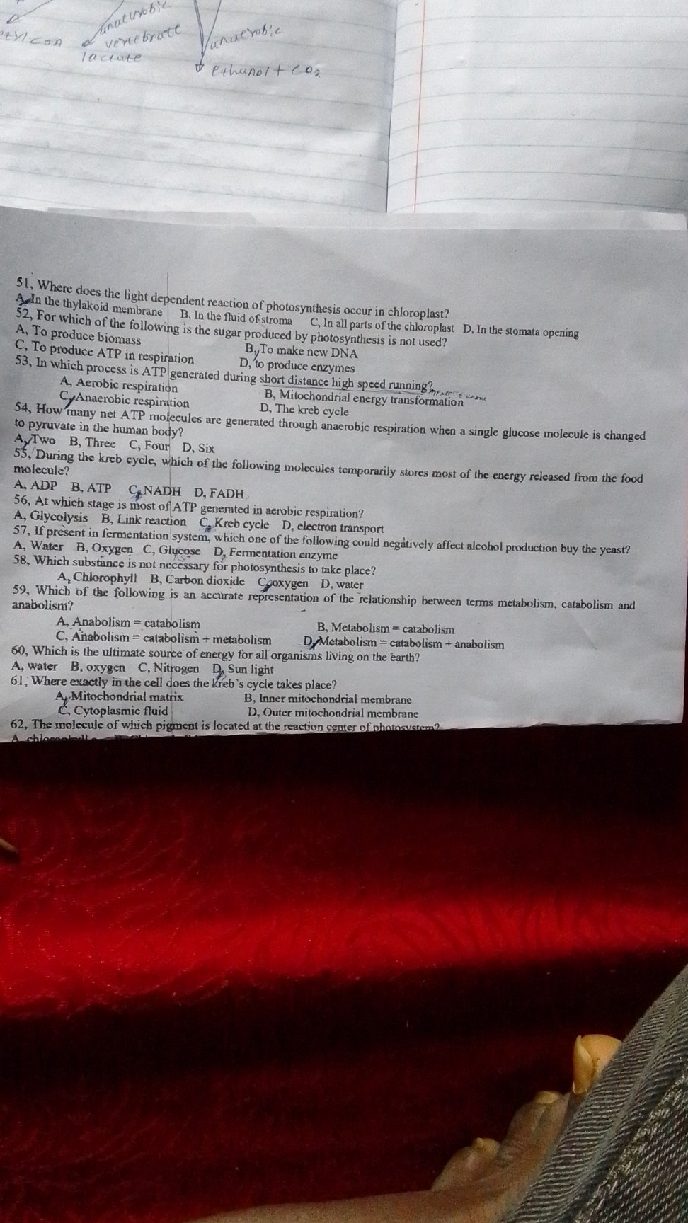 51, Where does the light dependent reaction of photosynthesis occur in ...