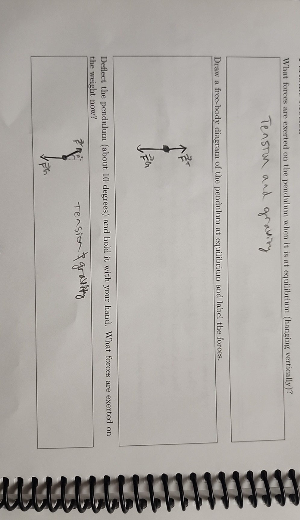 What forces are exerted on the pendulum when it is at equilibrium ...