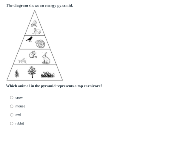 The diagram shows an energy pyramid. Which animal in the pyramid ...