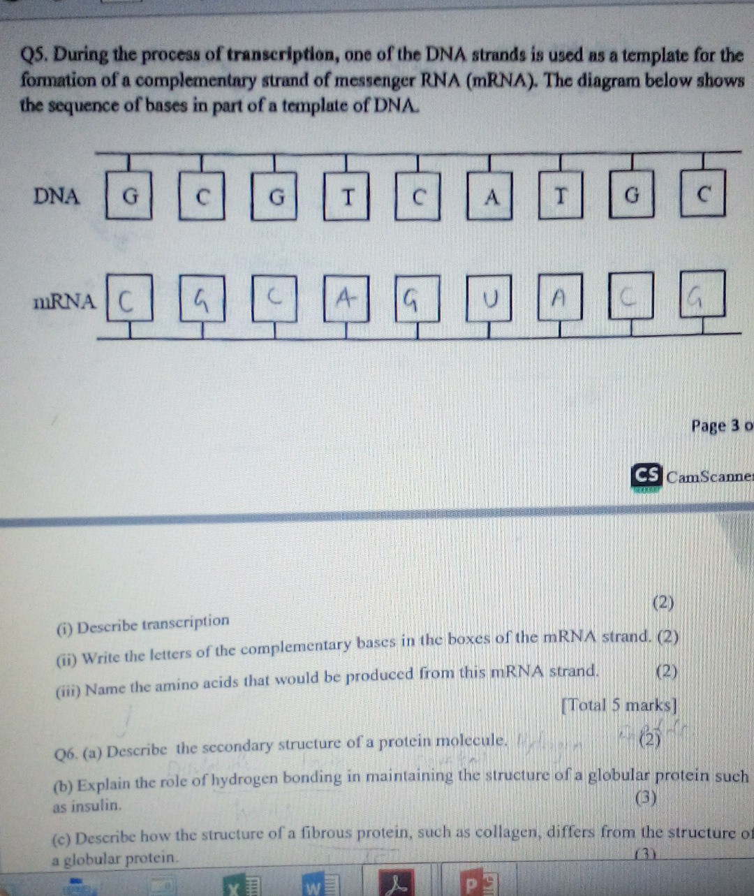 QS. During the process of transcription, one of the DNA strands is used ...