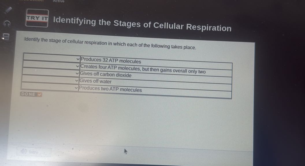 TRY IT Identifying the Stages of Cellular Respiration Identify the ...