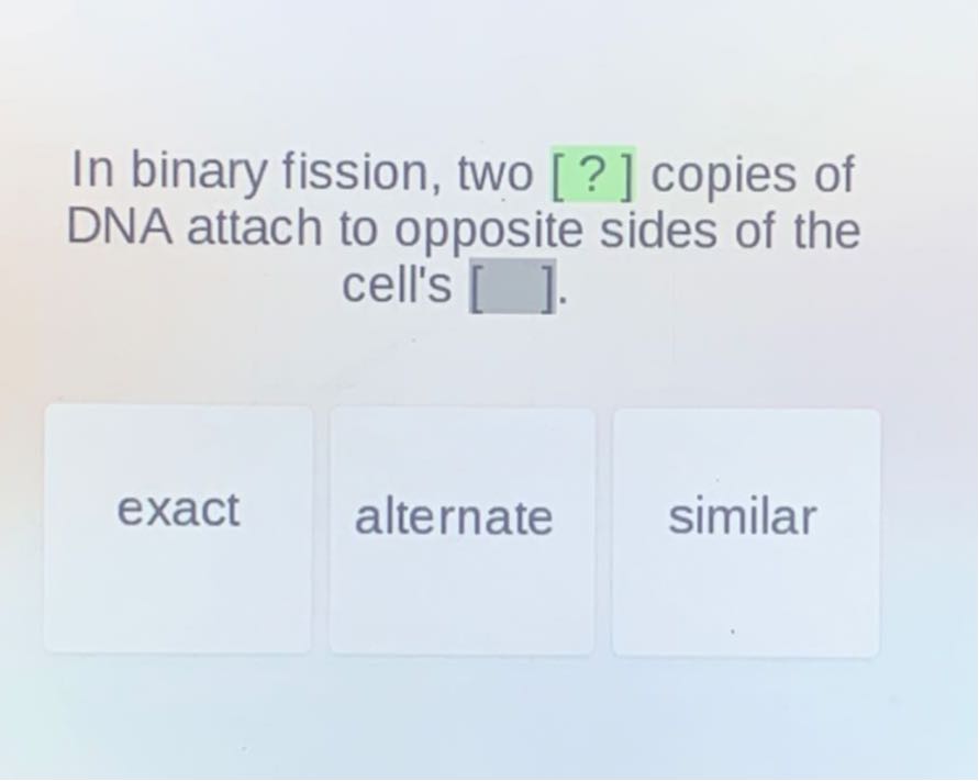 In binary fission, two [?] copies of DNA attach to opposite sides of the cell's [ ]. exact ...