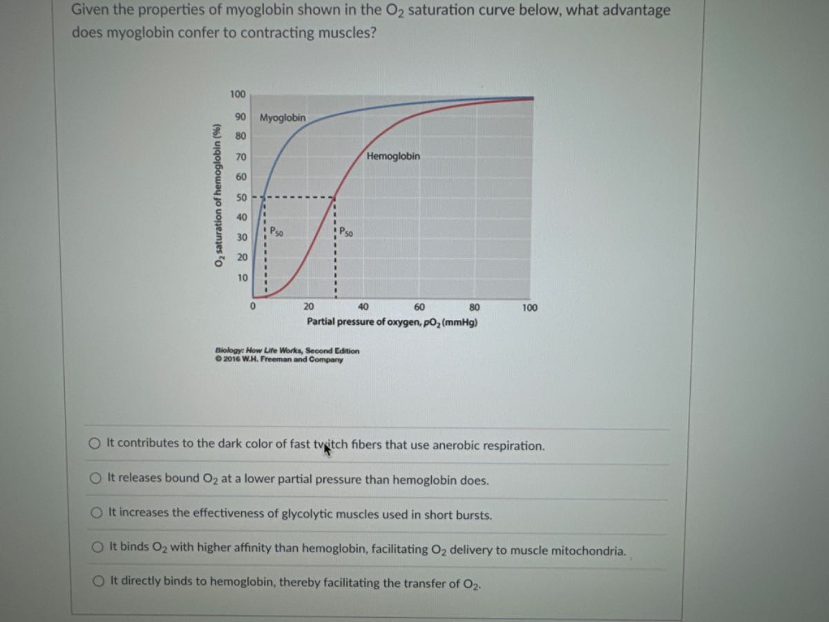 Given The Properties Of Myoglobin Shown In The O2 Saturation Curve