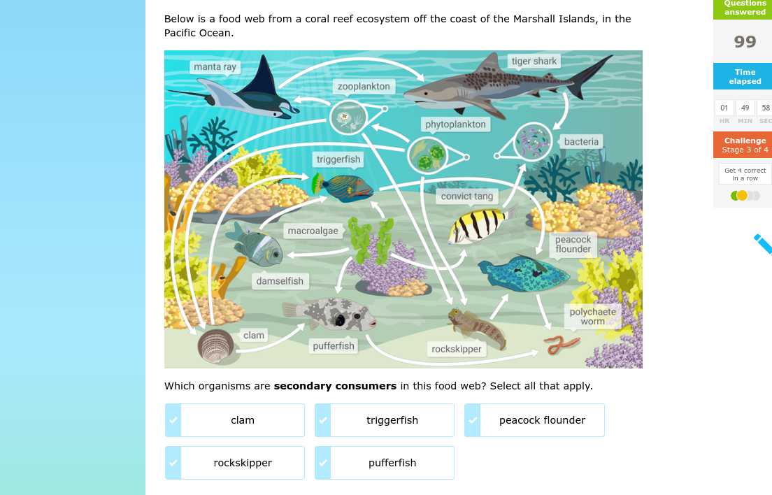 Below is a food web from a coral reef ecosystem off the coast of the ...