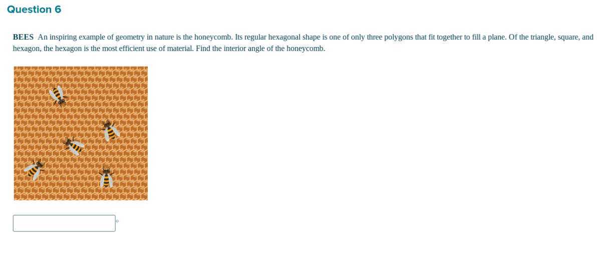 Question 6 BEES An inspiring example of geometry in nature is the ...