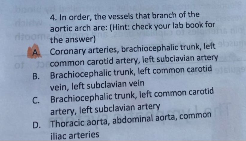 4. In order, the vessels that branch of the aortic arch are: (Hint: check your lab book for the ...