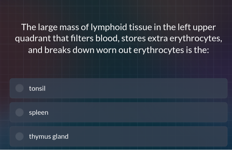 The large mass of lymphoid tissue in the left upper quadrant that ...