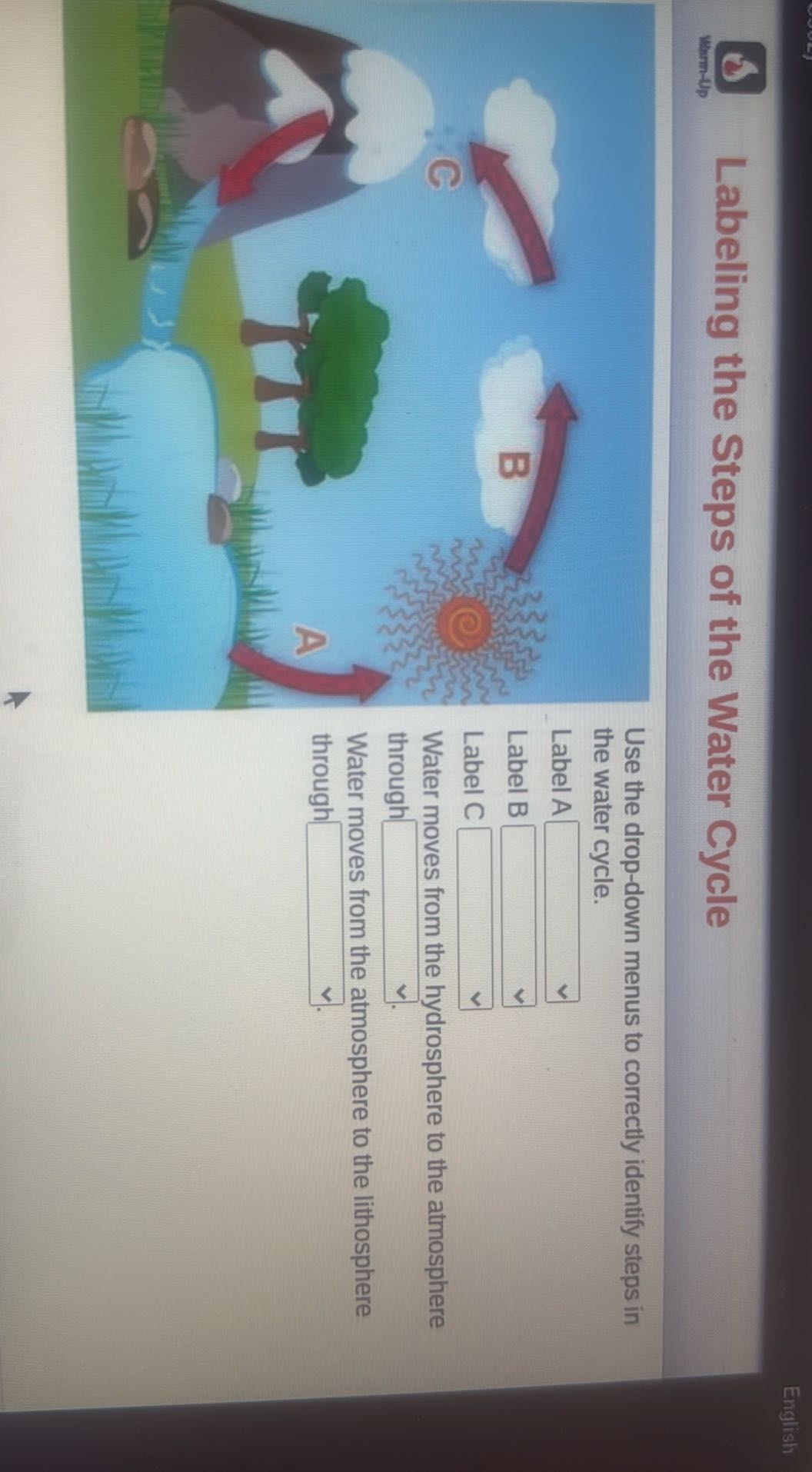 English 6) Labeling the Steps of the Water Cycle Use the drop-down ...