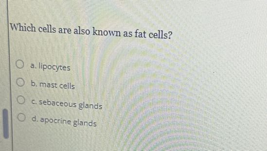 Which cells are also known as fat cells? a. lipocytes b. mast cells c ...
