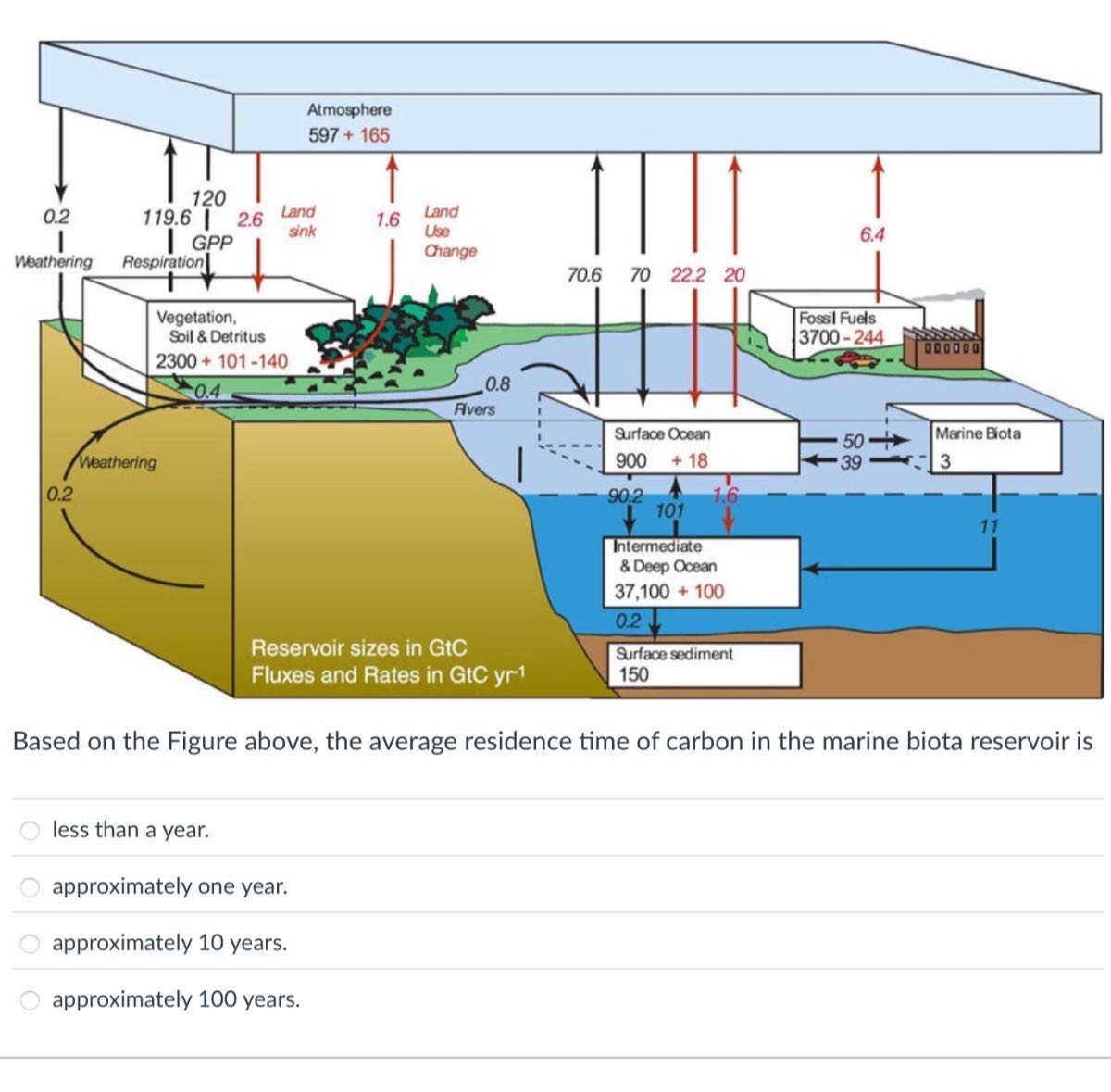 Based on the Figure above, the average residence time of carbon in the ...