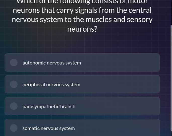 neurons that carry signals from the central nervous system to the ...
