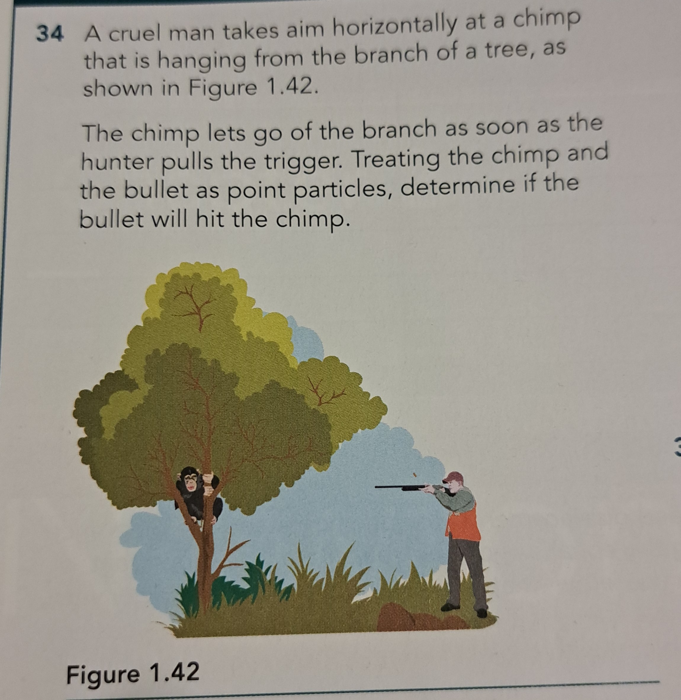 34 A cruel man takes aim horizontally at a chimp that is hanging from ...