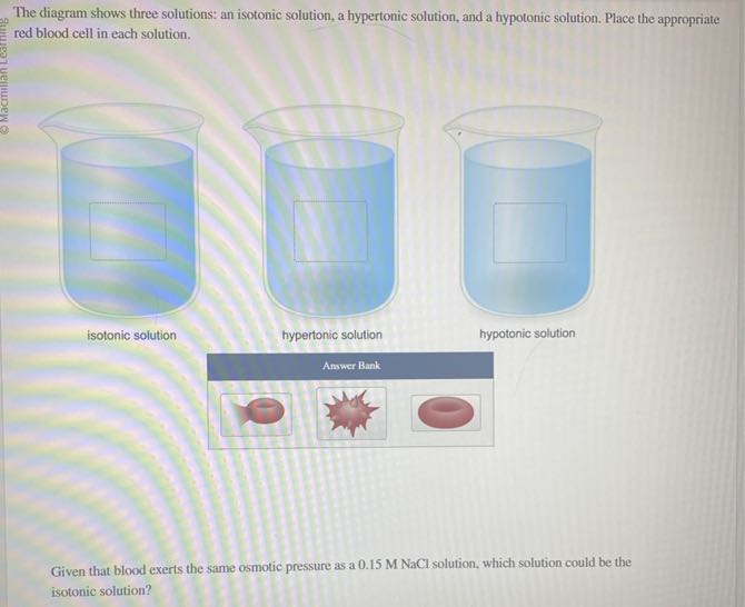 The diagram shows three solutions: an isotonic solution, a hypertonic ...