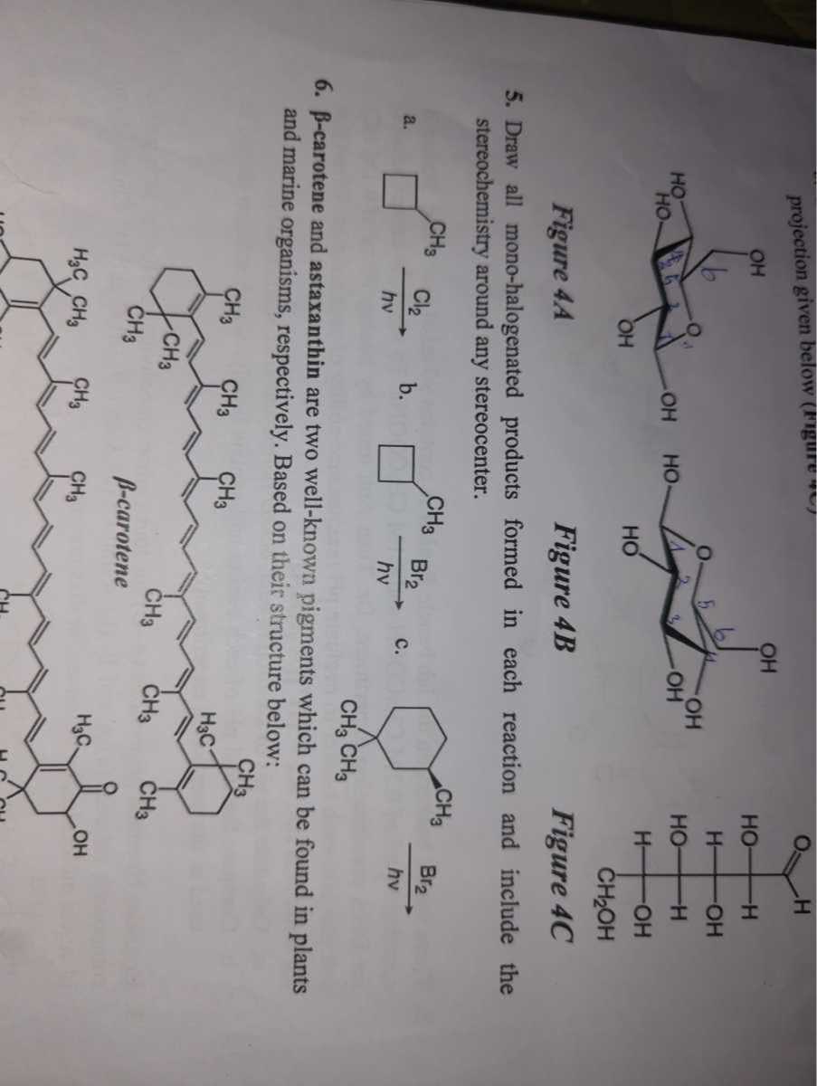 Figure 4 A Figure 4 B Figure 4 C 5. Draw all mono-halogenated products ...