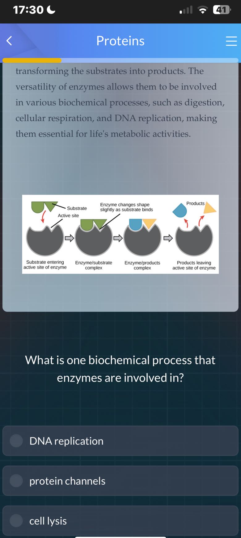 17:30 C 41 Proteins transforming the substrates into products. The ...