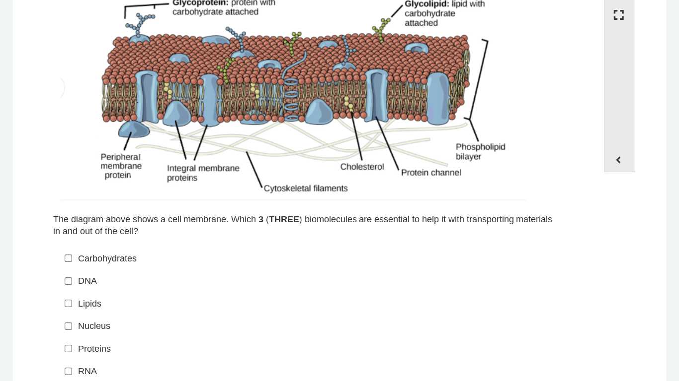 The diagram above shows a cell membrane. Which 3 (THREE) biomolecules ...