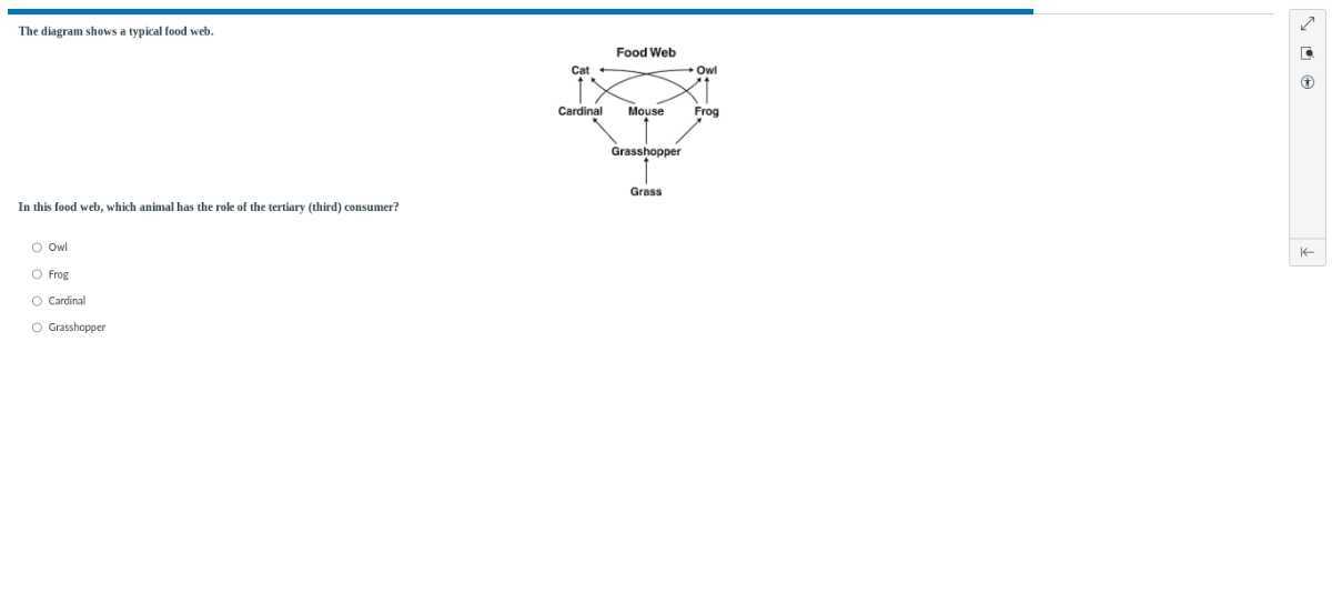 The diagram shows a typical food web. In this food web, which animal ...