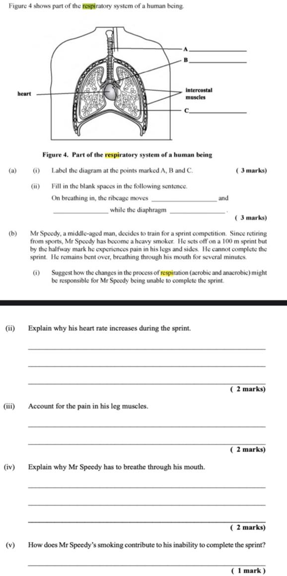 Figure 4 shows part of the respiratory system of a human being. Figure ...