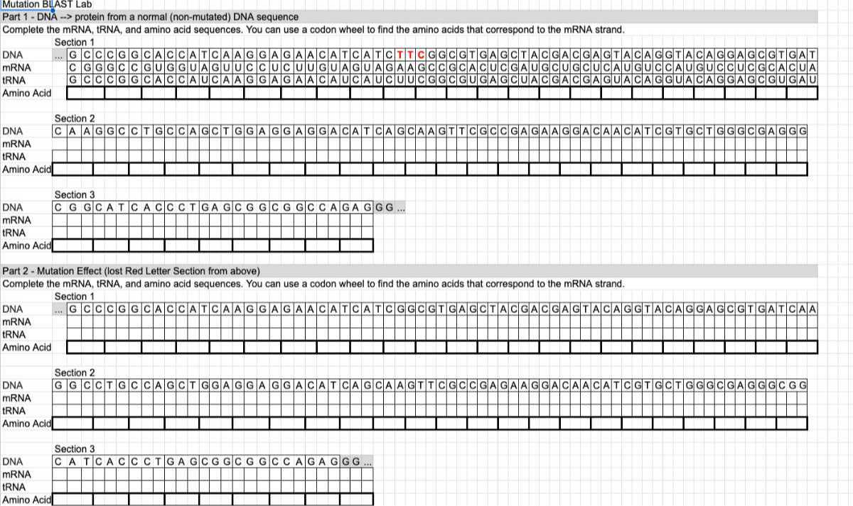 [GET ANSWER] Mutation BLAST Lab Part 1 - DNA → protein from a normal ...