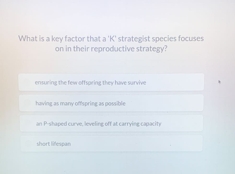 What is a key factor that a ' K ' strategist species focuses on in ...
