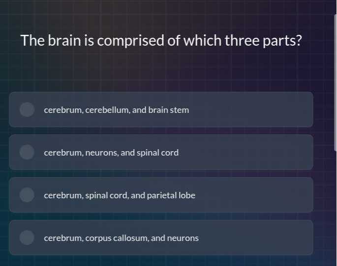 The brain is comprised of which three parts? cerebrum, cerebellum, and ...