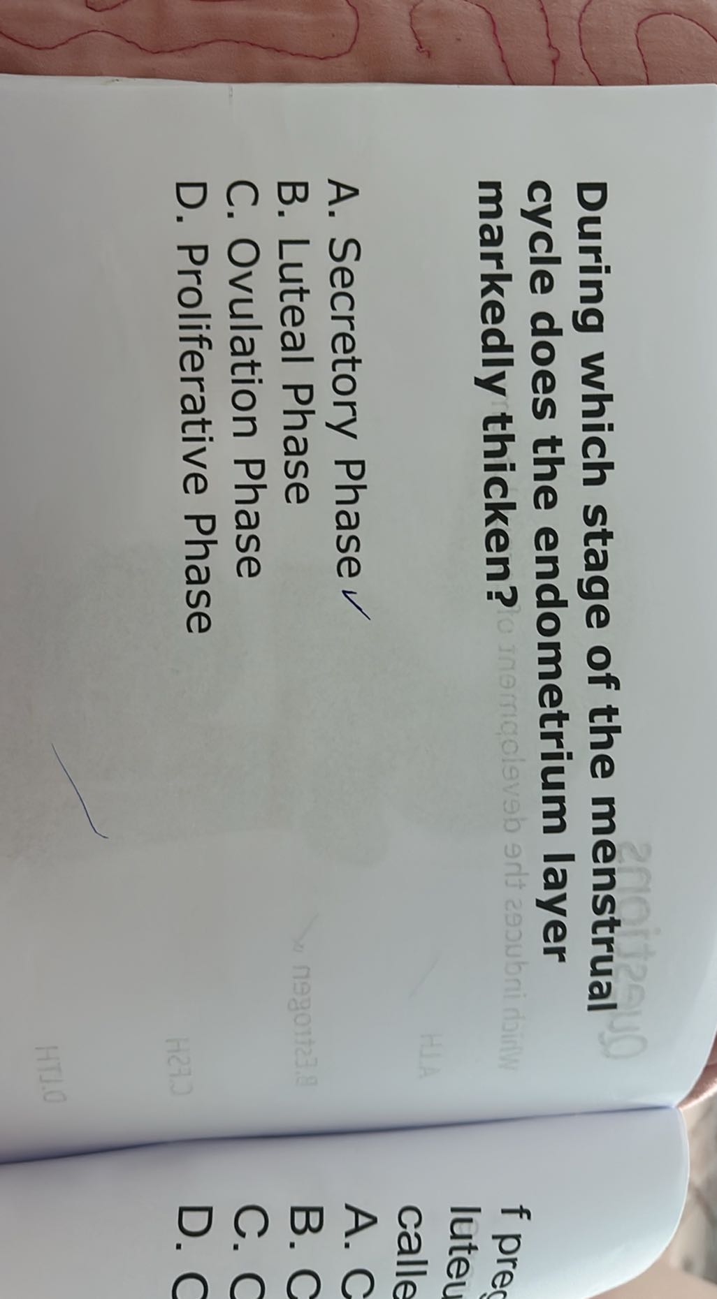 during which stage of the menstrual cycle does the endometrium layer ...
