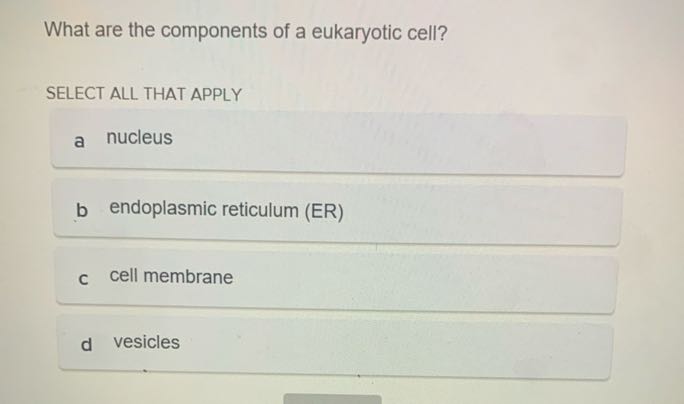 What are the components of a eukaryotic cell? SELECT ALL THAT APPLY a nucleus b endoplasmic ...