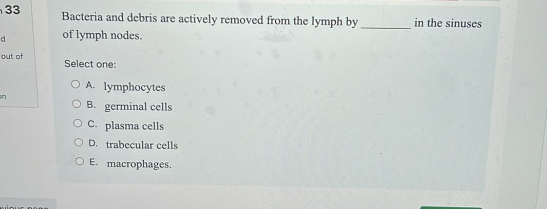 33 Bacteria and debris are actively removed from the lymph by in the ...