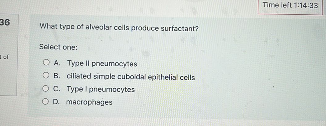 Time left 1:14:33 36 What type of alveolar cells produce surfactant ...