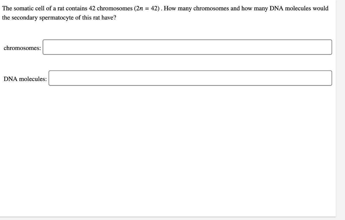 The somatic cell of a rat contains 42 chromosomes (2 n=42). How many ...