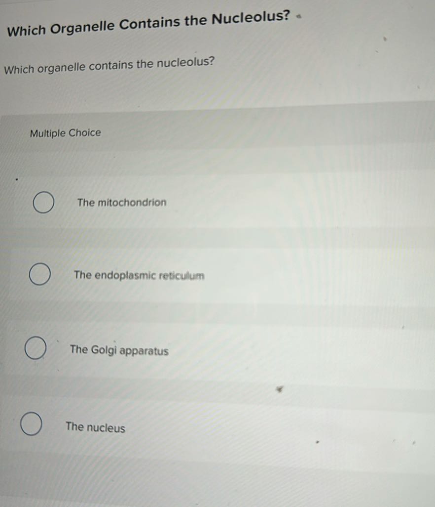 Which Organelle Contains the Nucleolus? Which organelle contains the ...