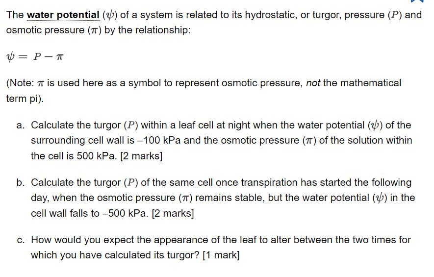 The water potential (ψ) of a system is related to its hydrostatic, or ...
