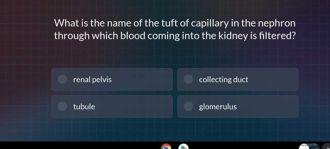 What is the name of the tuft of capillary in the nephron through which ...