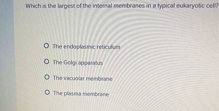 Which is the largest of the internal membranes in a typical eukaryotic ...