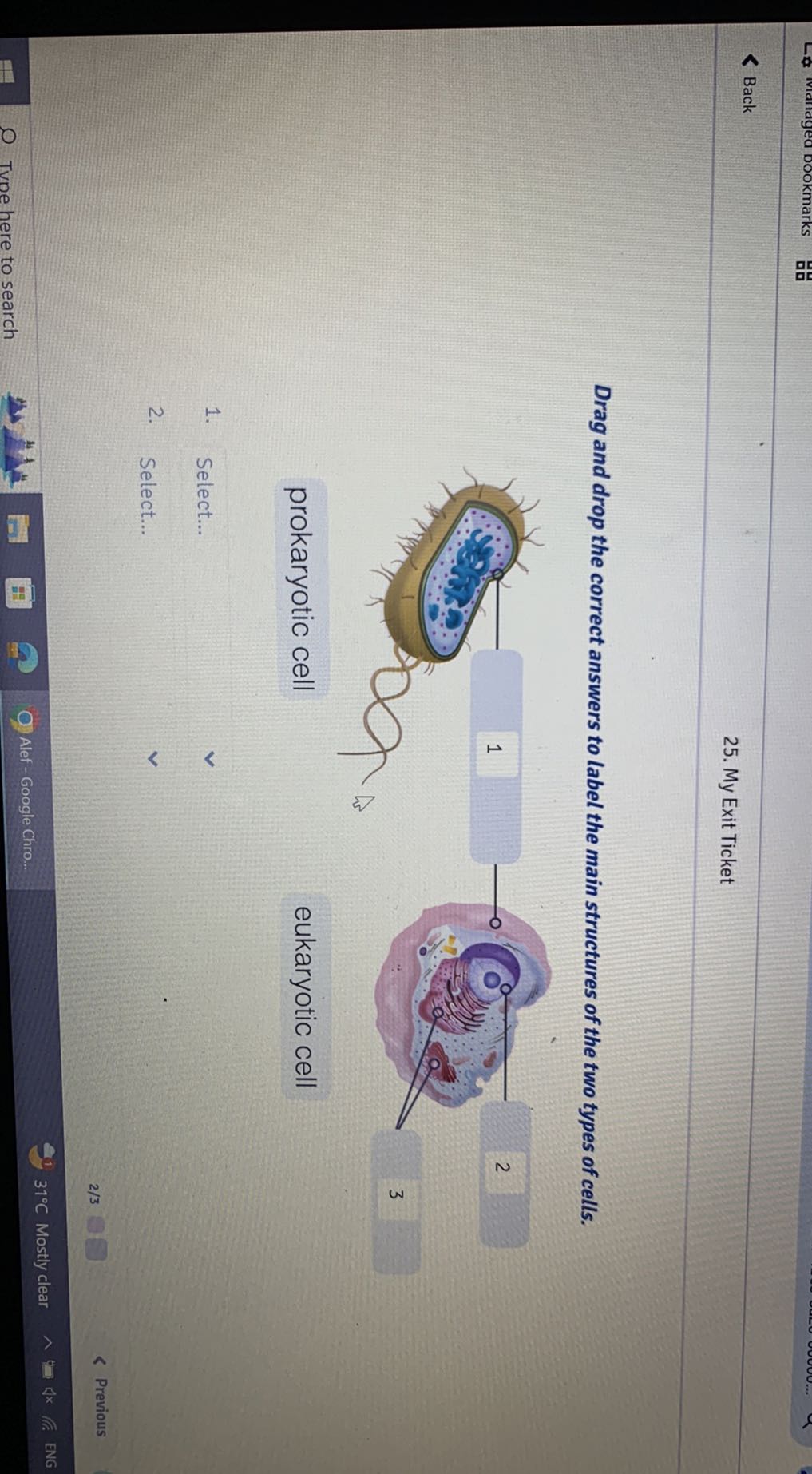 back 25 my exit ticket drag and drop the correct answers to label the ...