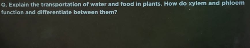 Q. Explain the transportation of water and food in plants. How do xylem ...