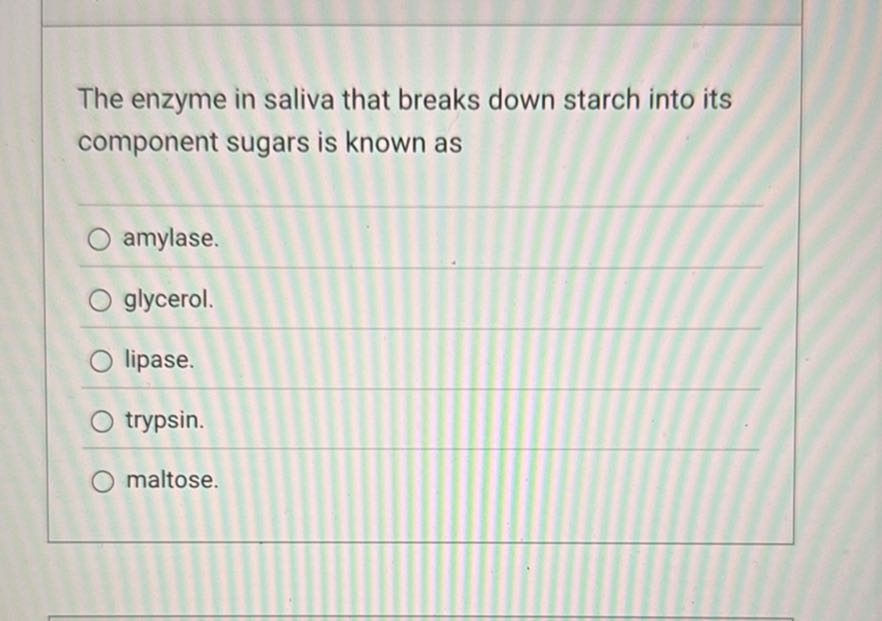 The enzyme in saliva that breaks down starch into its component sugars ... The enzyme in saliva that breaks down starch into its component sugars ...