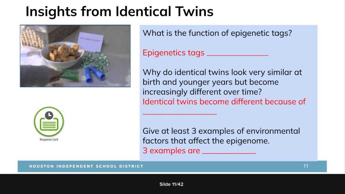 insights from identical twins what is the function of epigenetic tags ...