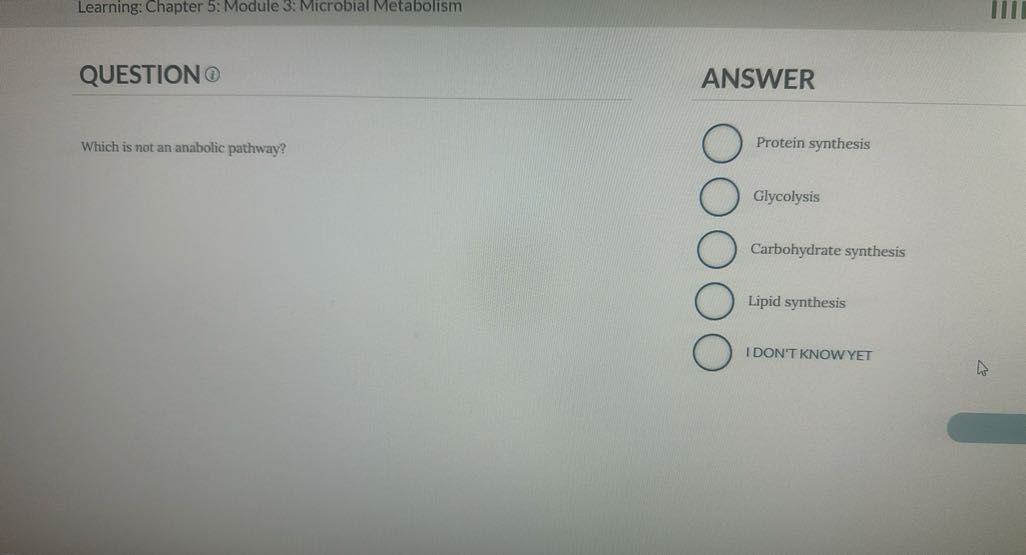 Learning: Chapter 5: Module 3: Microbial Metabolism QUESTION Which is ...