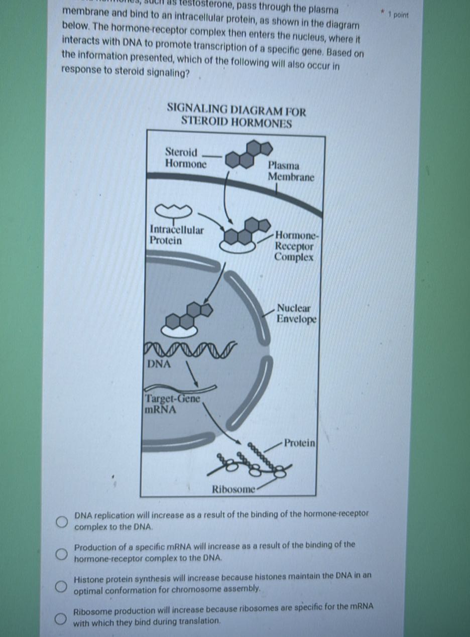 testosterone, pass through the plasma membrane and bind to an ...